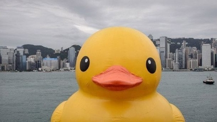 Rubber Duck la papera gigante di Florentijn Hofman arriva in Cile
